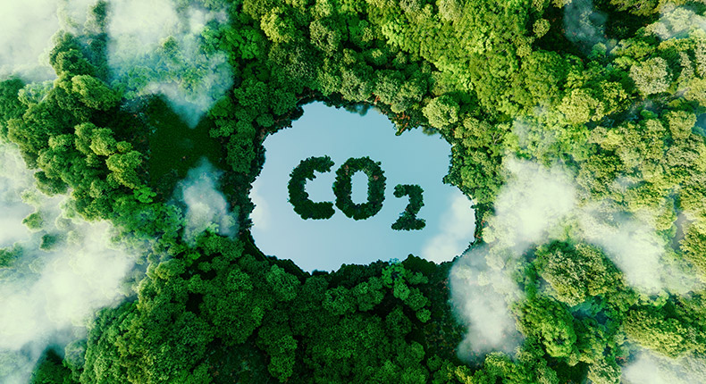 Comment réduire son impact carbone : quelques pistes pour le faire Comment réduire son impact carbone : quelques pistes pour le faire